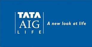A Comprehensive Manual for Success at TATA AIG Life Insurance 2024 ...
